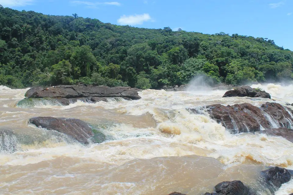 Rio Caqueta: todo lo que necesitas saber sobre él y más