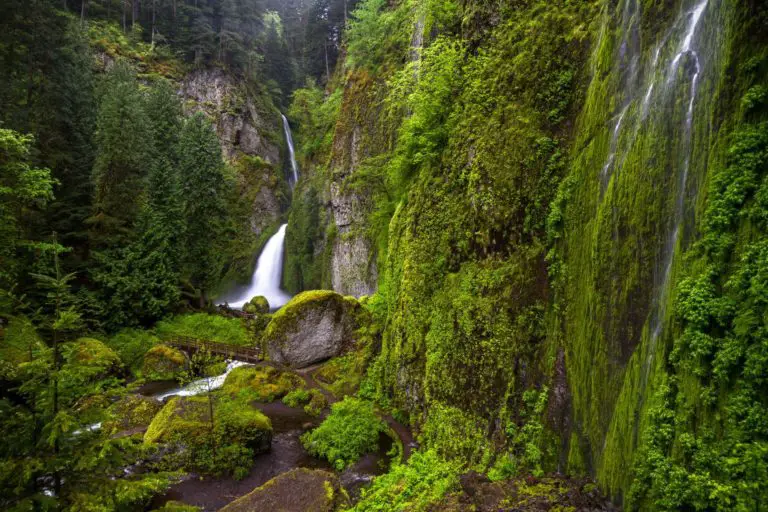 Columbia River: location, and everything you don't know about it