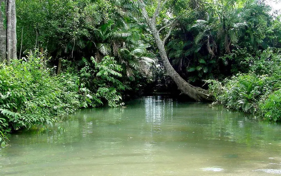 Río Aroa: Todo lo que necesita saber sobre él
