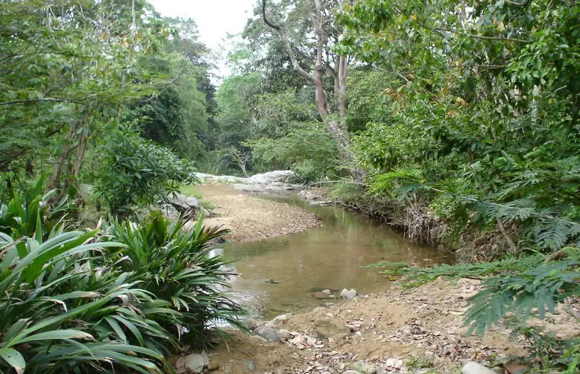 Río Aroa: Todo lo que necesita saber sobre él