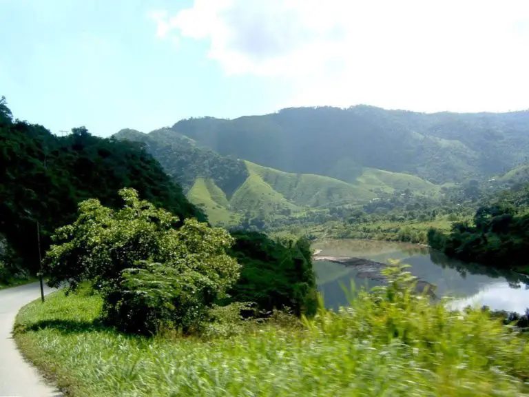 Río Chamelecón: Todo lo que necesita conocer sobre él