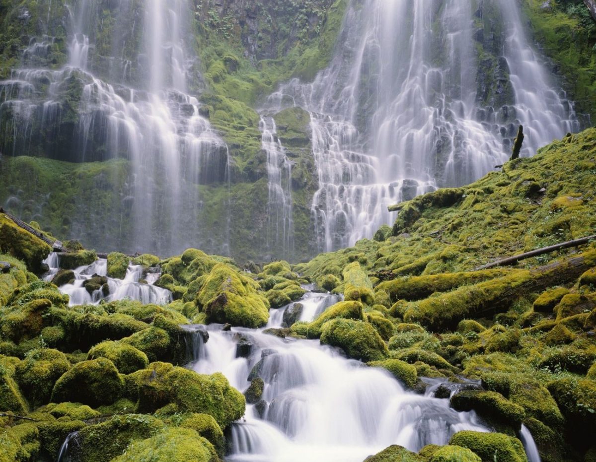 Río Esequibo: Todo lo que necesita saber sobre él