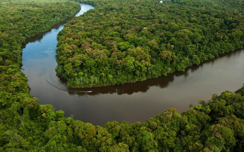 Río Esequibo: Todo lo que necesita saber sobre él