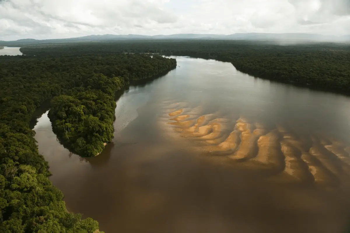Río Esequibo: Todo lo que necesita saber sobre él