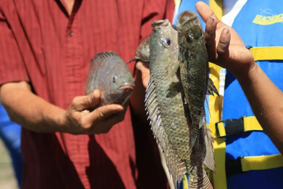 RÍO LEMPA: Ubicación, Mapa, Cuenca y mucho más.
