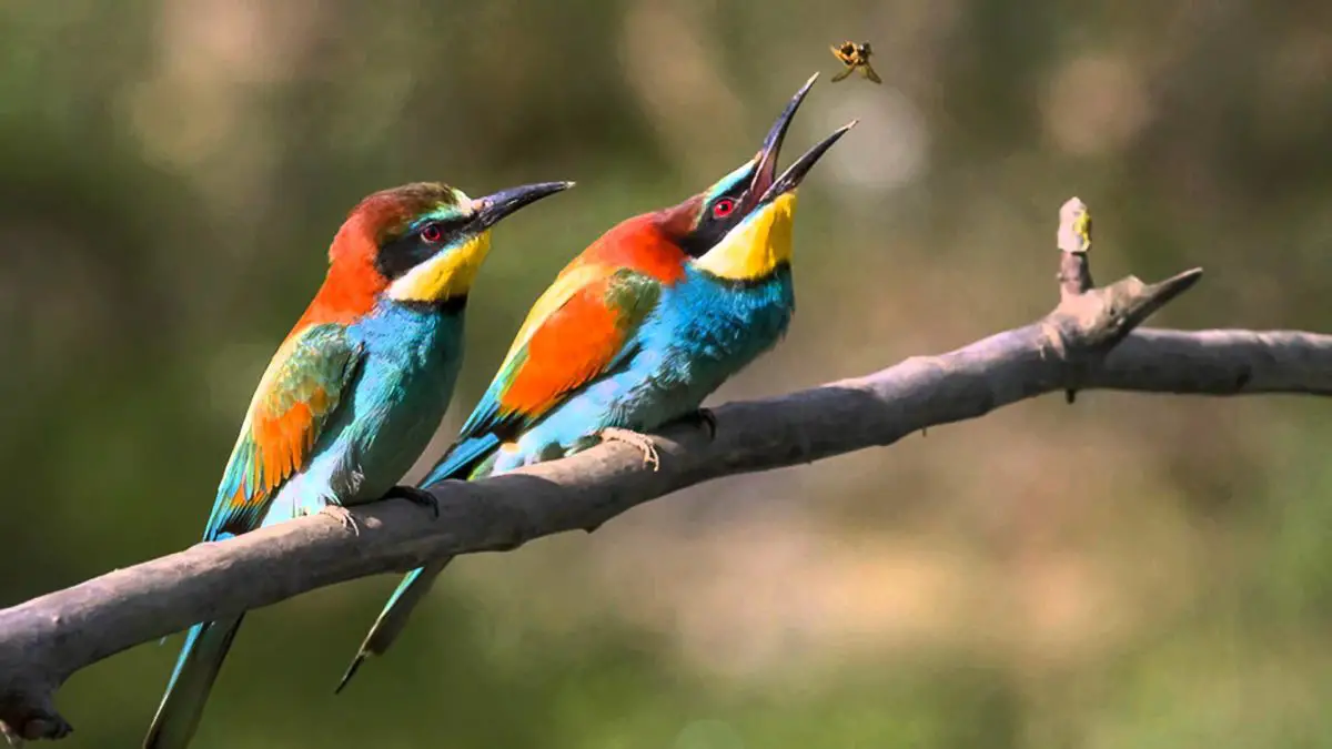 RÍO LEMPA: Ubicación, Mapa, Cuenca y mucho más.