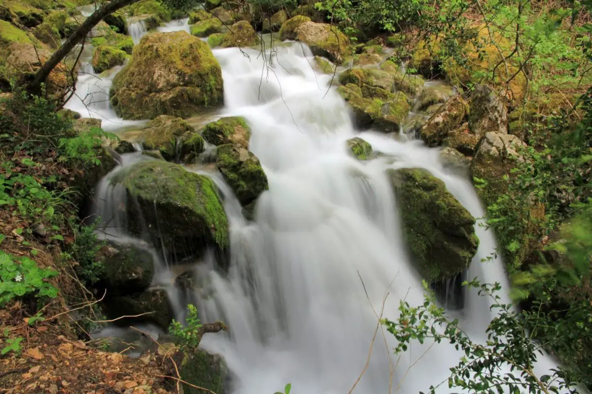 RÍO LLOBREGAT.: Mapa, Nacimiento y mucho más que debes saber.