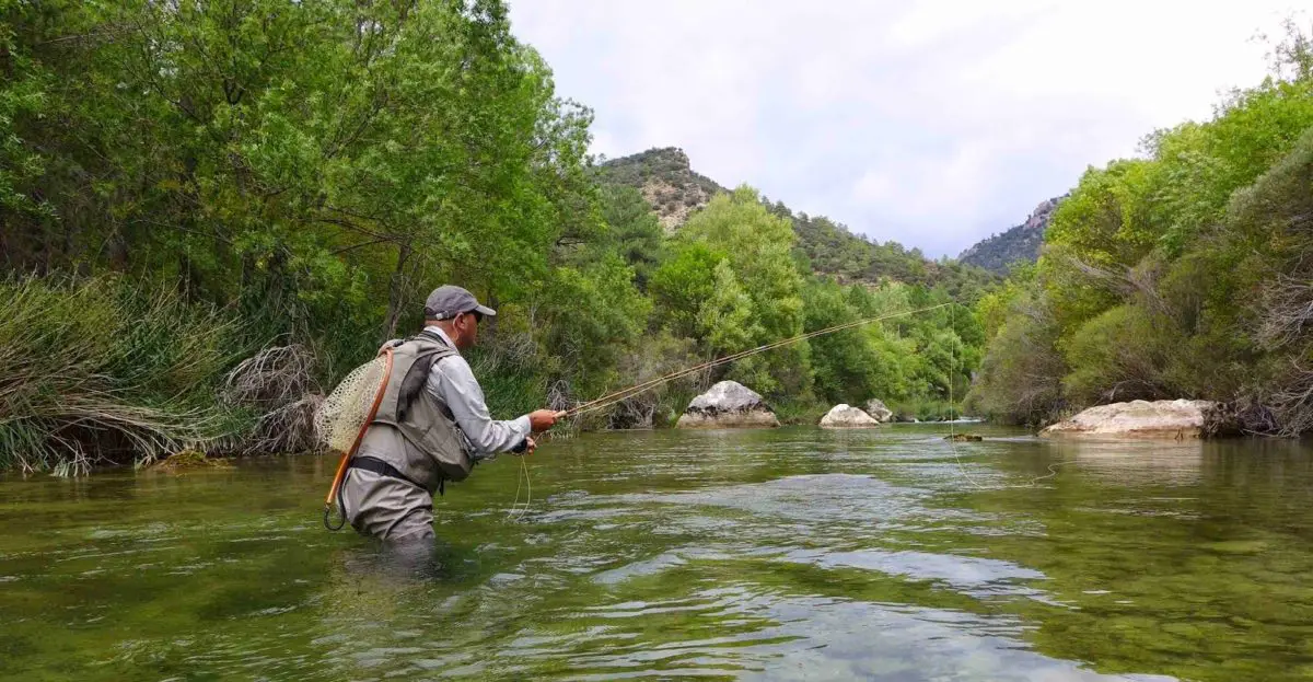 El Río Tajo: nacimiento, ubicación, afluentes, y más