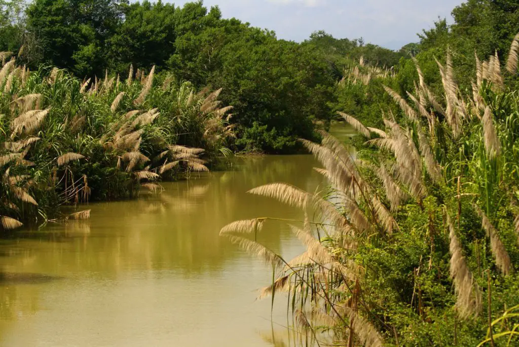 Río Tuy: Mapa y todo lo que necesita conocer sobre él...