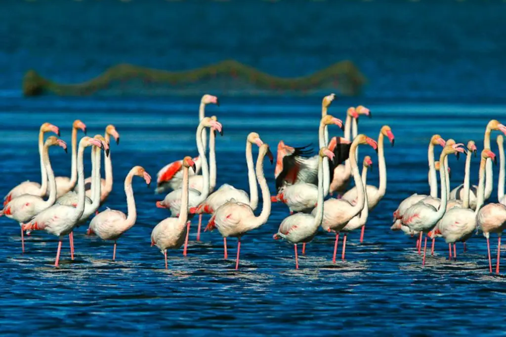 RÍO EBRO: Ubicacion, Mapa, Nacimiento y mucho más.
