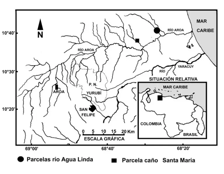 Río Aroa: Todo lo que necesita saber sobre él