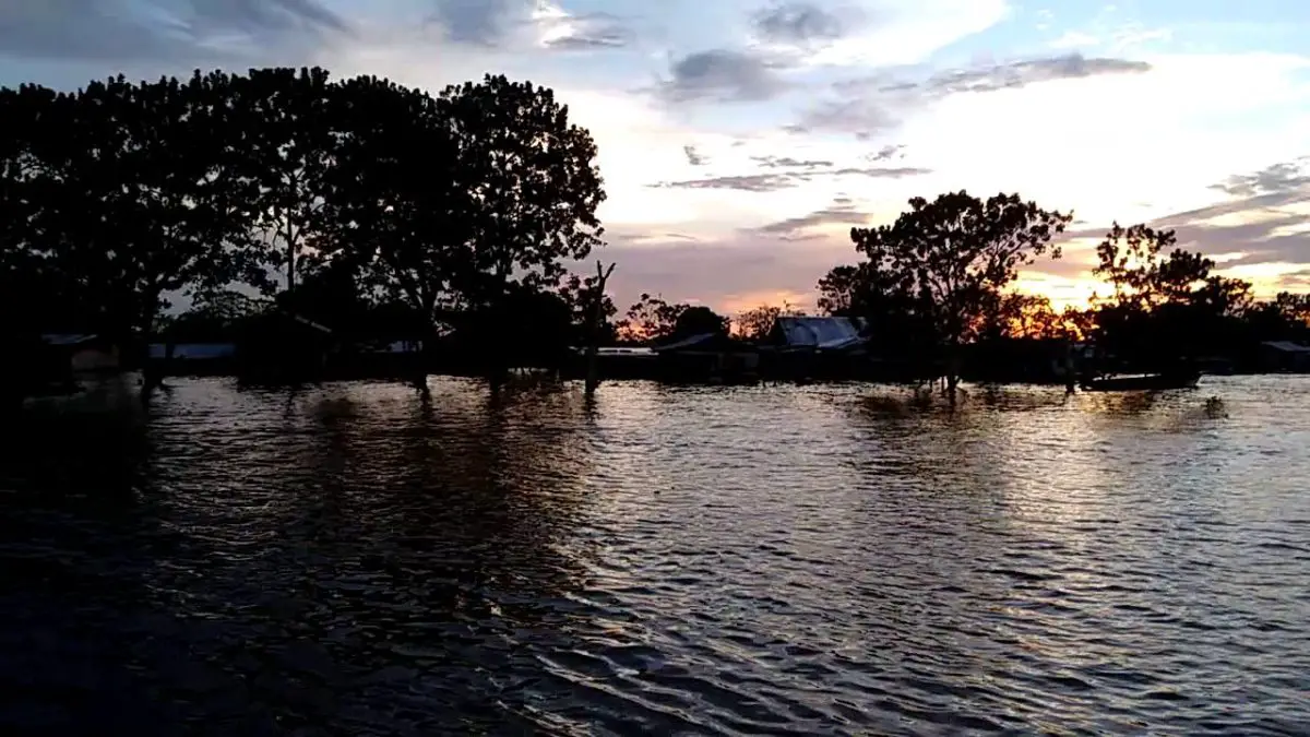 RIO AMAZONAS: Historia, Origen, Características, Profundidad, y mas