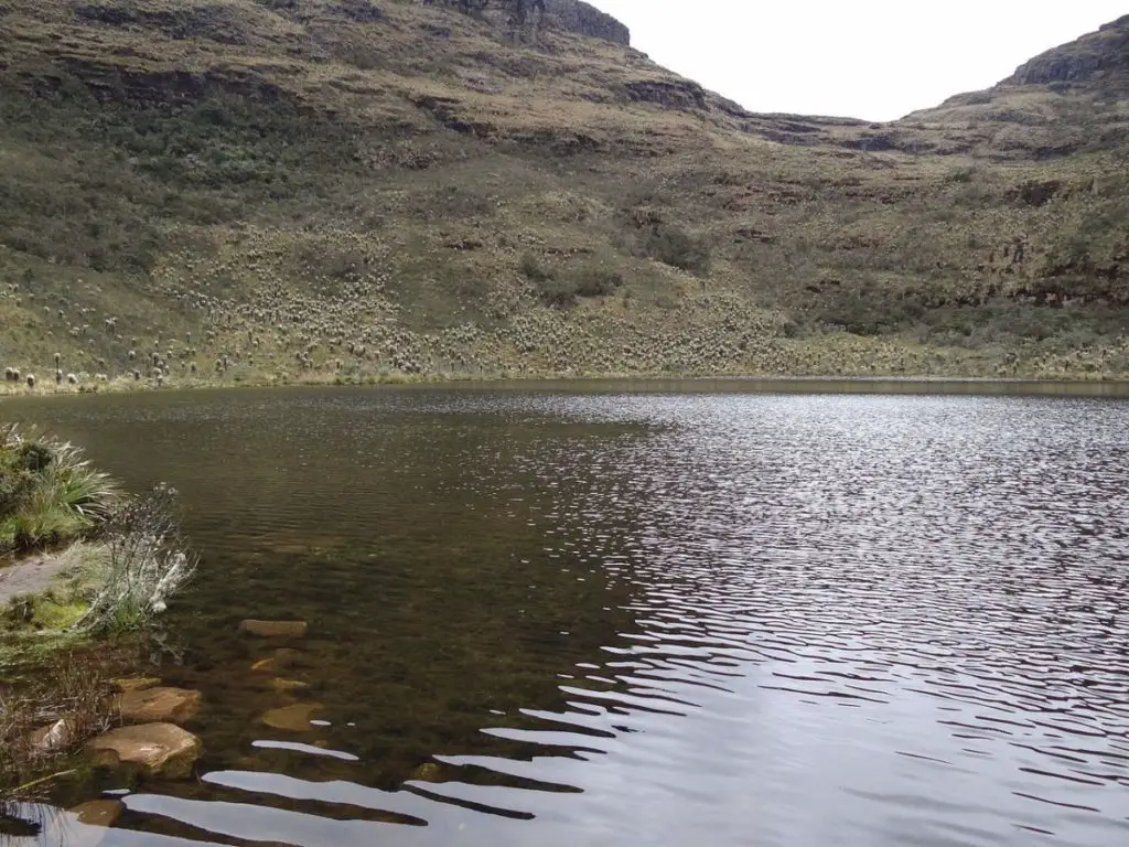 RÍO BOGOTÁ: Historia, Mapa, Nacimiento, y más.