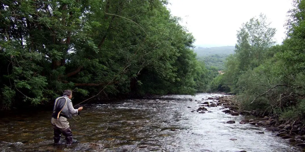Río Cea: pesca y todo lo que necesita conocer de él