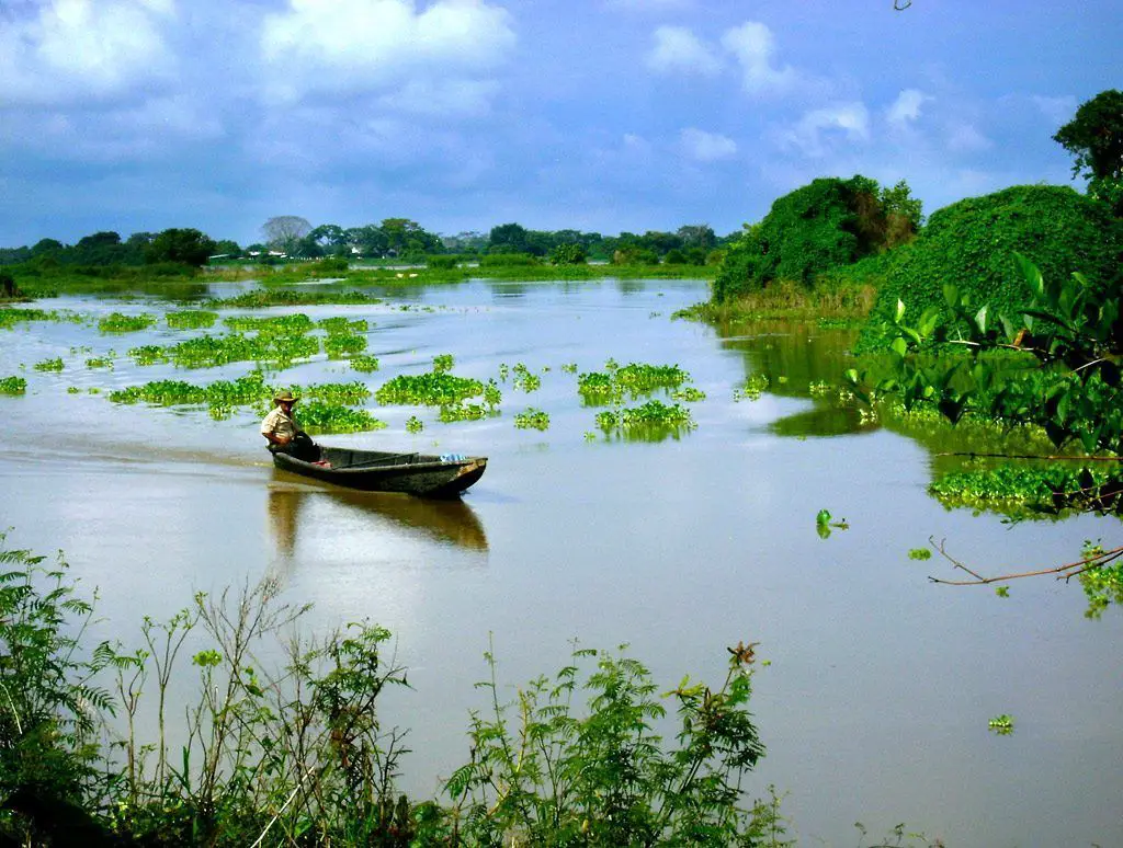 Río Cesar: mapa y todo lo que desconoce sobre él