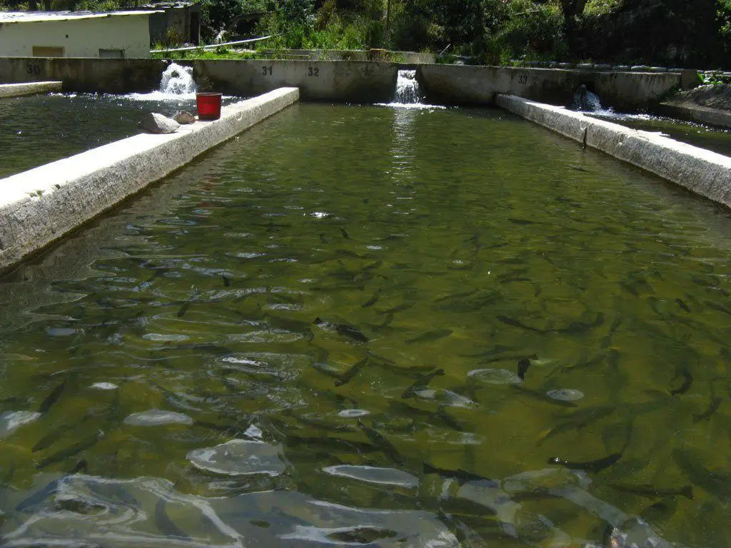 Río Frío: mapa, nacimiento y todo lo que necesita saber sobre él