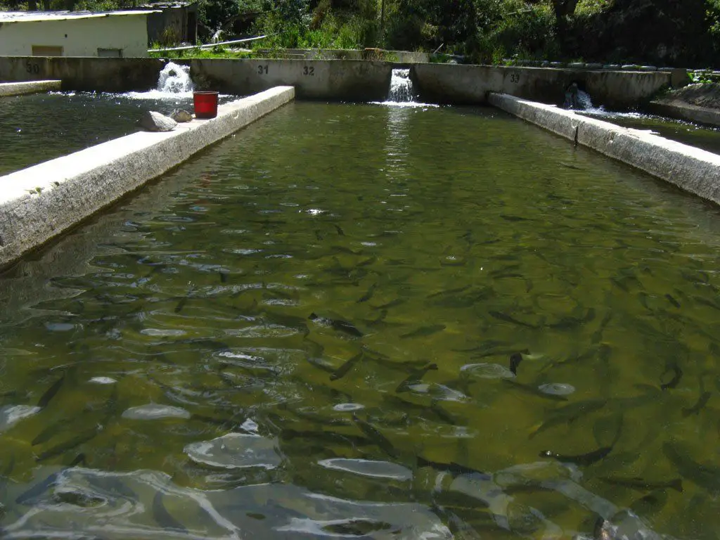 Río Frío: mapa, nacimiento y todo lo que necesita saber sobre él