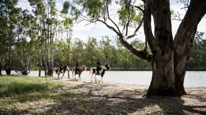 Río Murray: ubicación, mapa y todo lo que desconoce de él