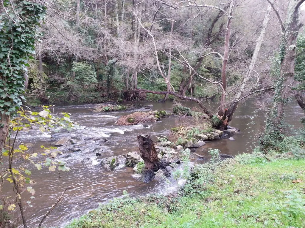 Río Nora: todo lo que desconoce sobre el para conocerlo
