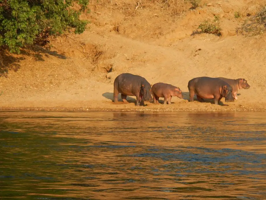 Rio Orange: ubicación, mapa, y todo lo que desconoce