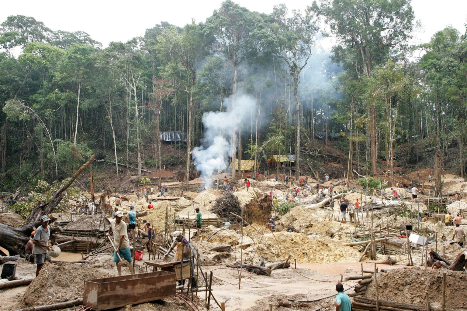 Amazonian River: History, Origin, Characteristics, Depth and Much More