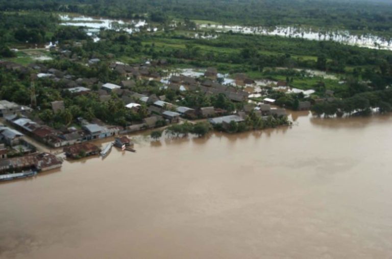 Amazonian River: History, Origin, Characteristics, Depth and Much More