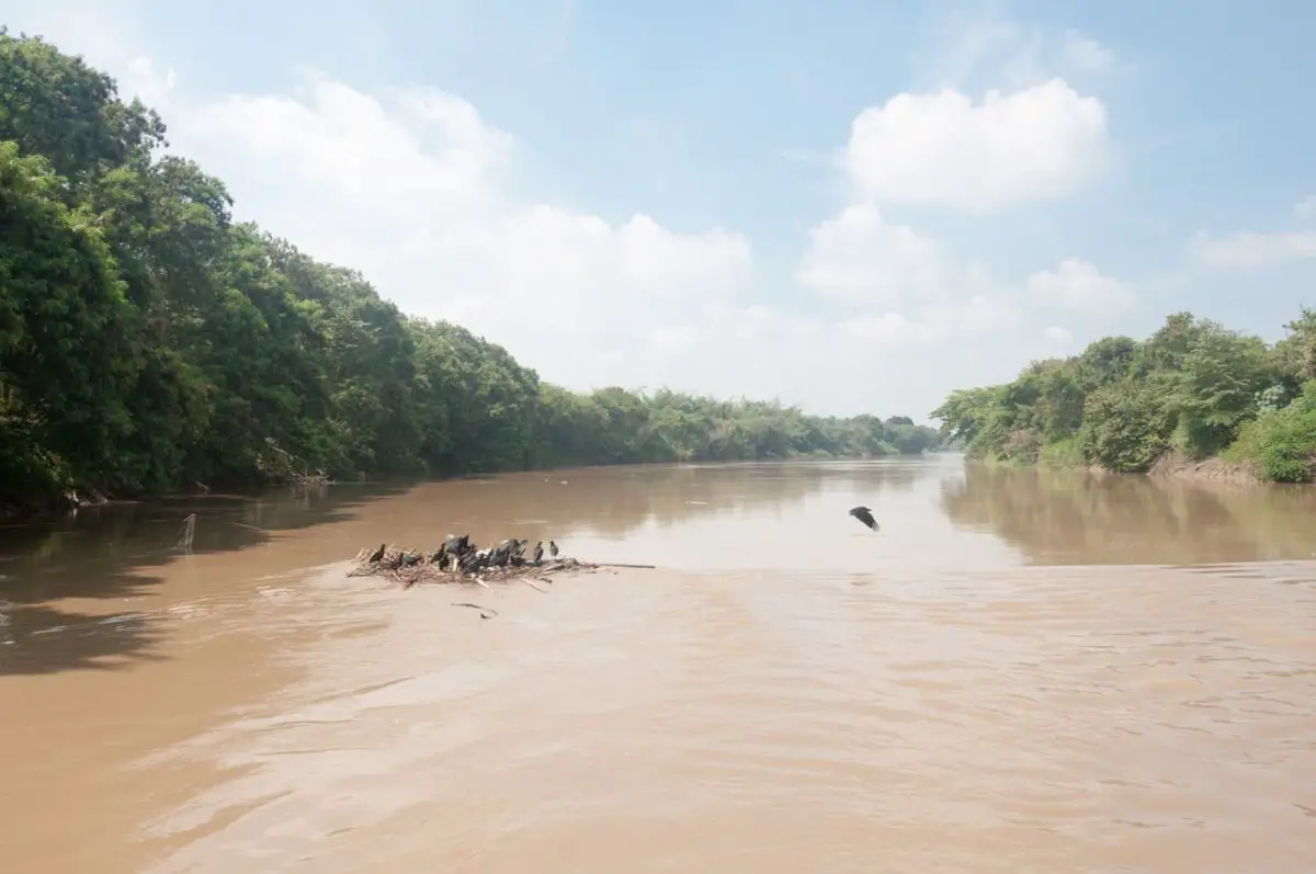 RÍO CAUCA: Características, Ubicación, Mapa, y más.