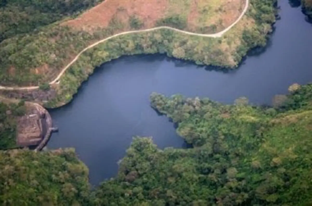 Río Guárico: aquí todo lo que necesita saber sobre él