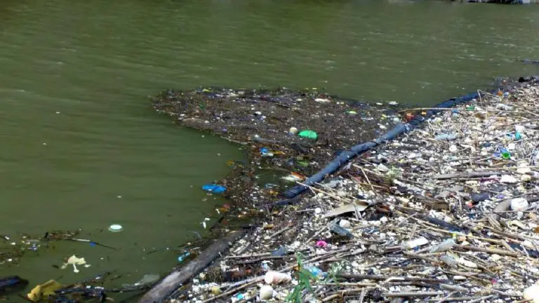 RÍO HUALLAGA: Ubicación, Mapa, y todo lo que necesita conocer