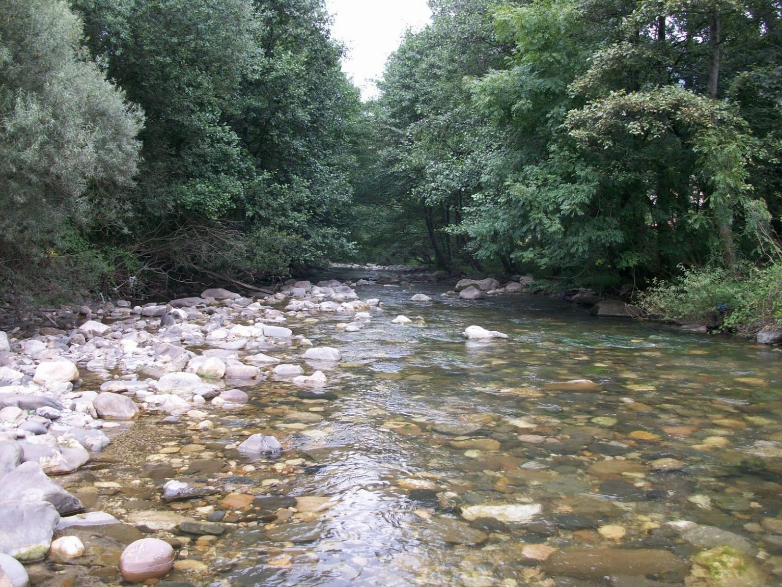Río Lena: ubicación, mapa, y todo lo que necesita saber