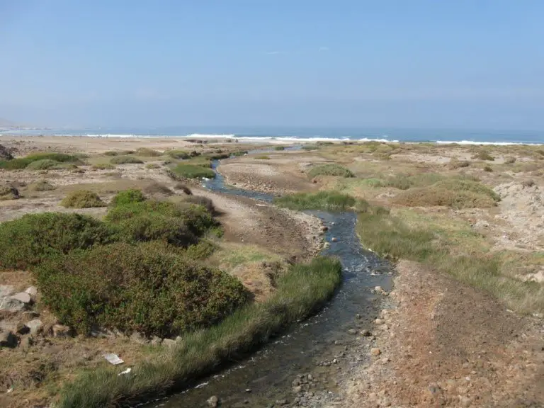 Río Loa: características, y todo lo que necesita conocer