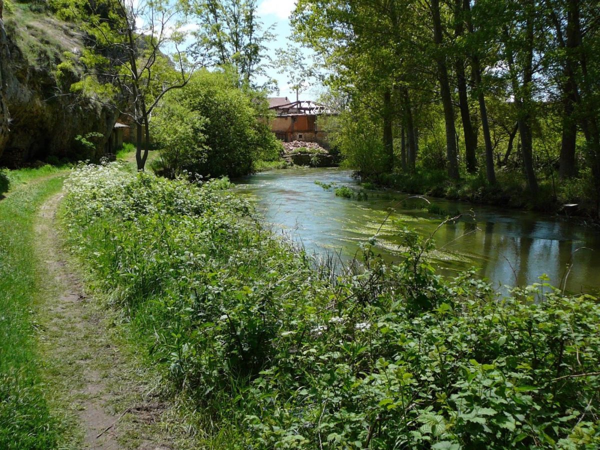 Rio Lobos: mapa, y todo lo que necesita conocer sobre él