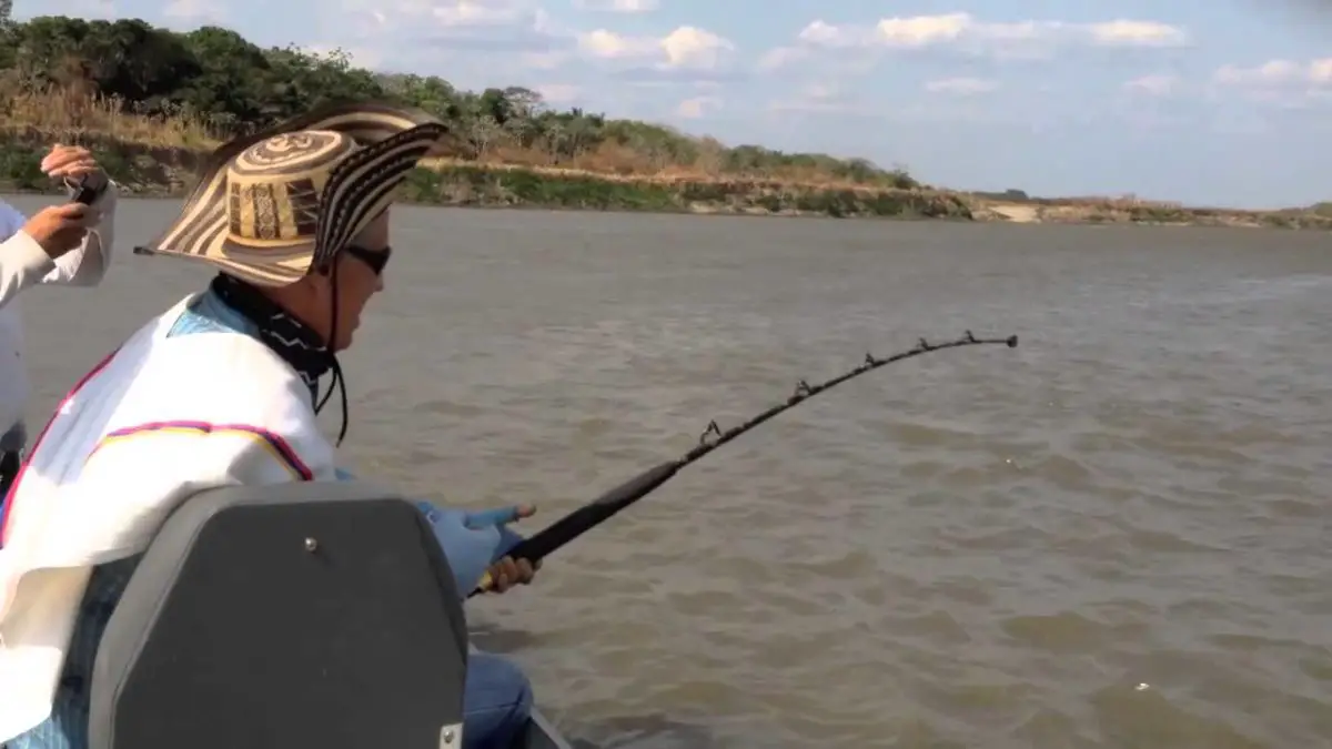 RÍO META: Ubicación, Mapa, y todo lo que desconoce de él.