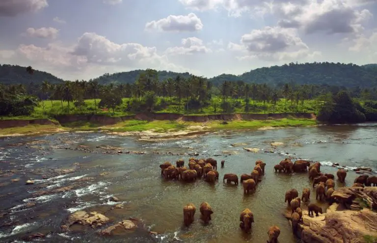 Nile River: History, Origin, Characteristics, and Much More