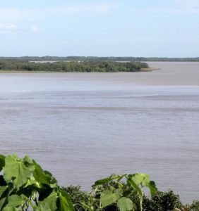 Paraná River: History, Origin, Characteristics, Height, and Much More