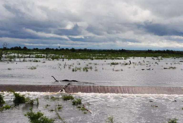RÍO PILCOMAYO: Características, Ubicación, y mucho más.