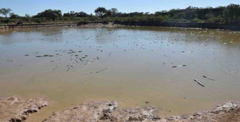 RÍO PILCOMAYO: Características, Ubicación, y mucho más.