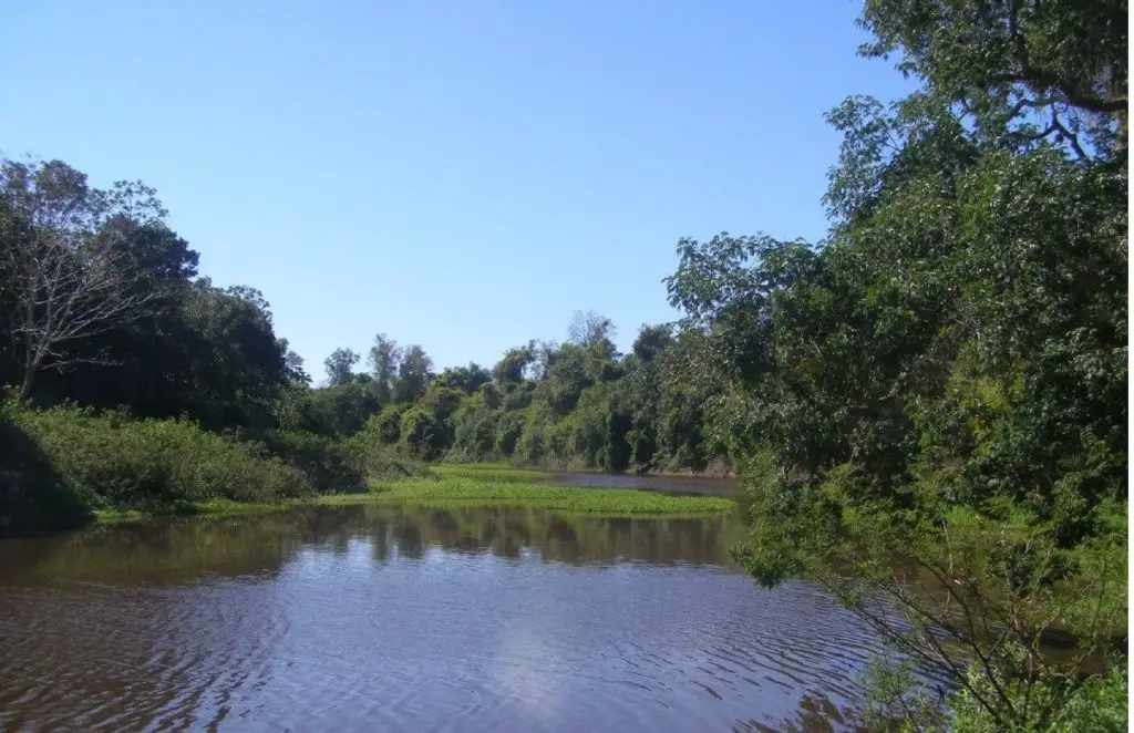 RÍO PILCOMAYO: Características, Ubicación, y mucho más.