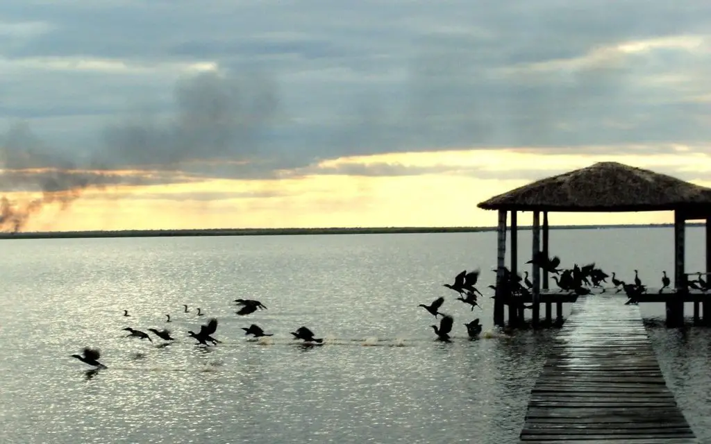 RÍO PILCOMAYO: Características, Ubicación, y mucho más.
