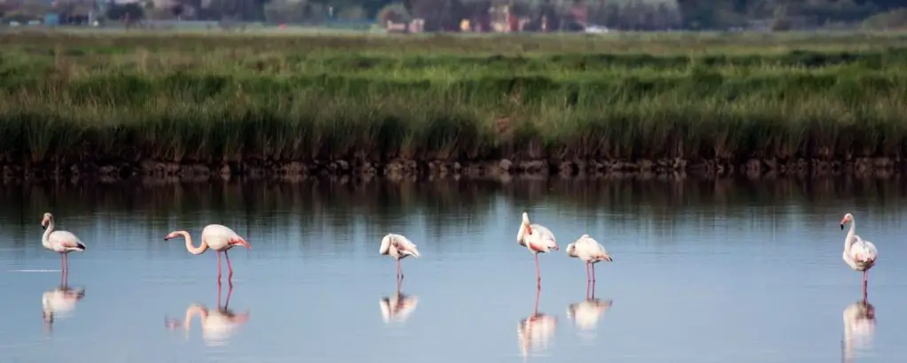 Río Po: ubicación, y todo lo que necesita saber sobre él