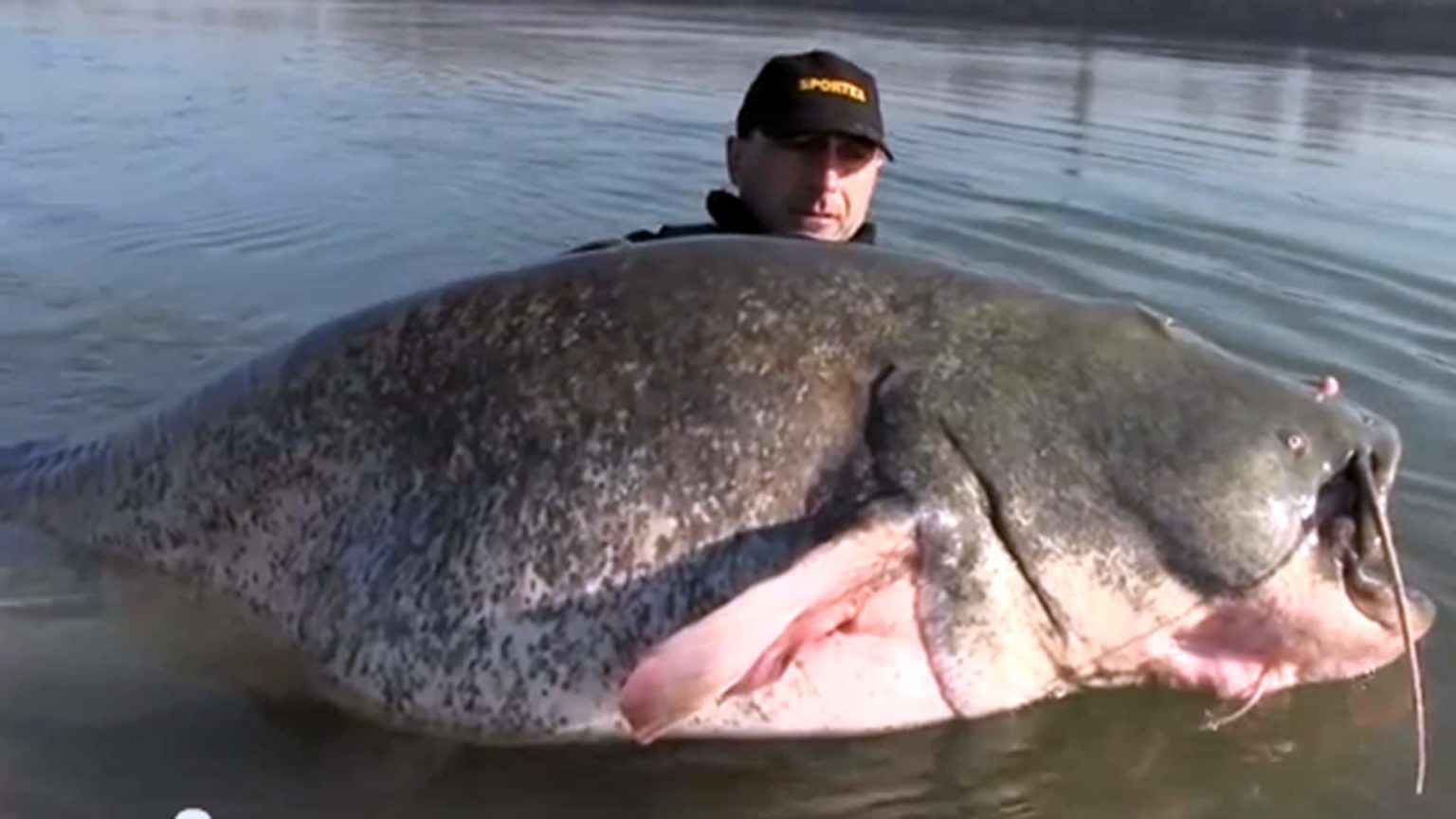 Río Po: ubicación, y todo lo que necesita saber sobre él