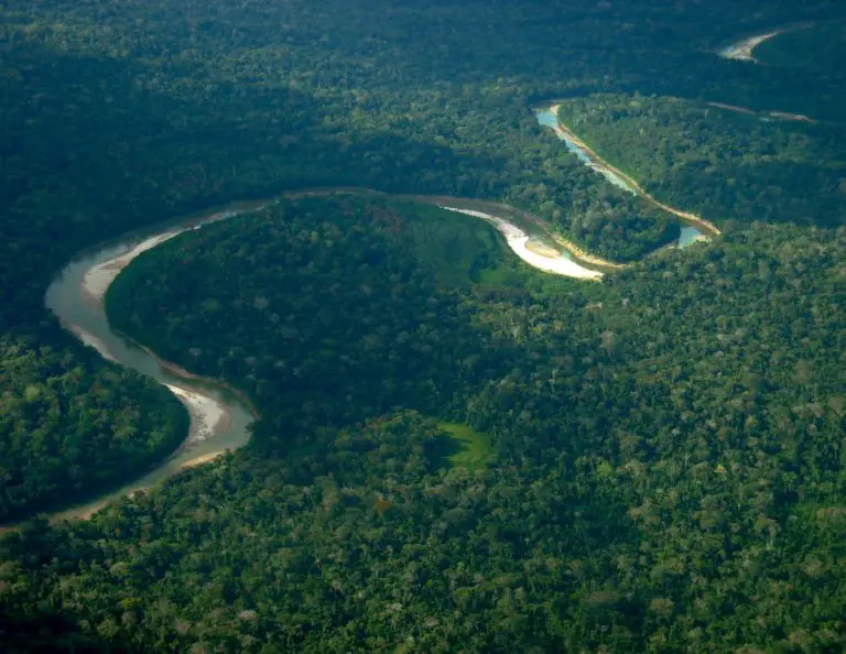 Río Purús: Ubicación y todo lo que desconoce sobre este