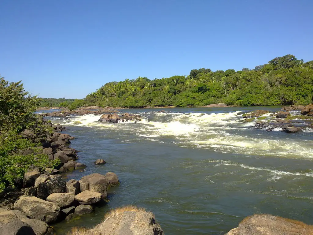 Río Roosevelt: todo lo que necesita saber sobre él