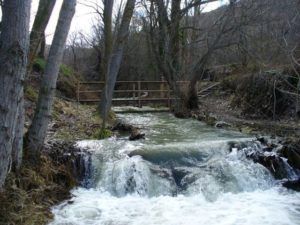 River Turia: history, location, riverbed, source, and more