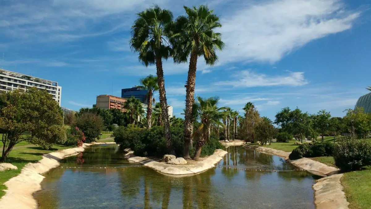 River Turia: history, location, riverbed, source, and more