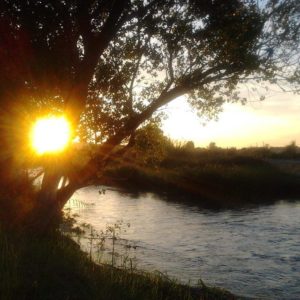 Rio Turia: historia, ubicación, cauce, nacimiento, y mas