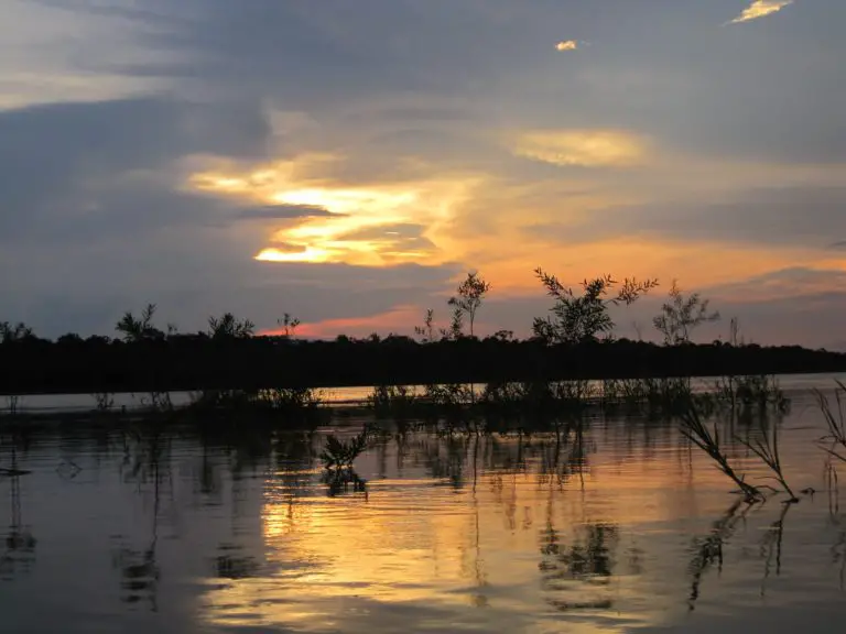 Río Yavarí: Ubicación y todo lo que necesita saber sobre él
