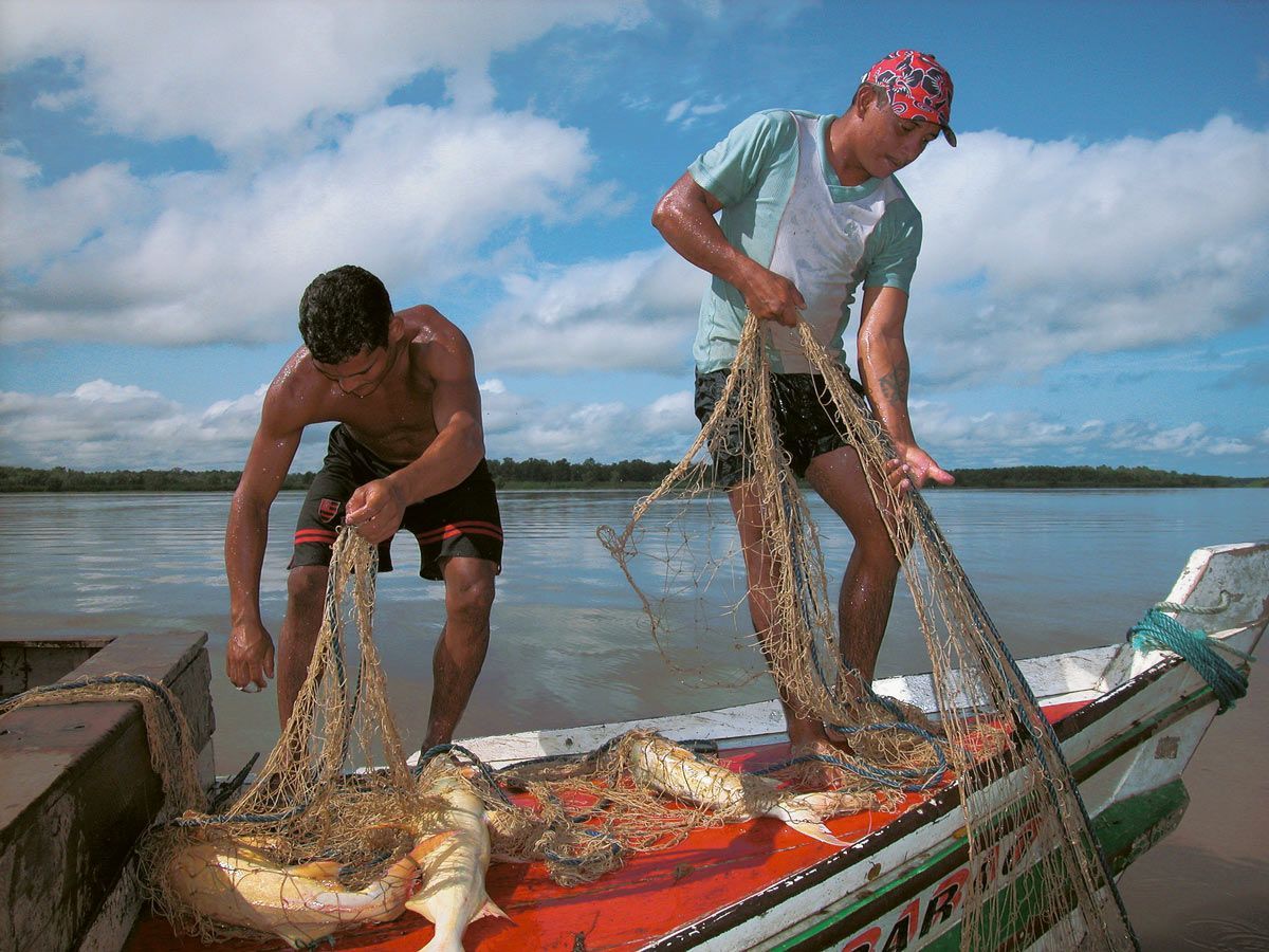 Río Yuruá o Juruá: todo lo que desconoce sobre este