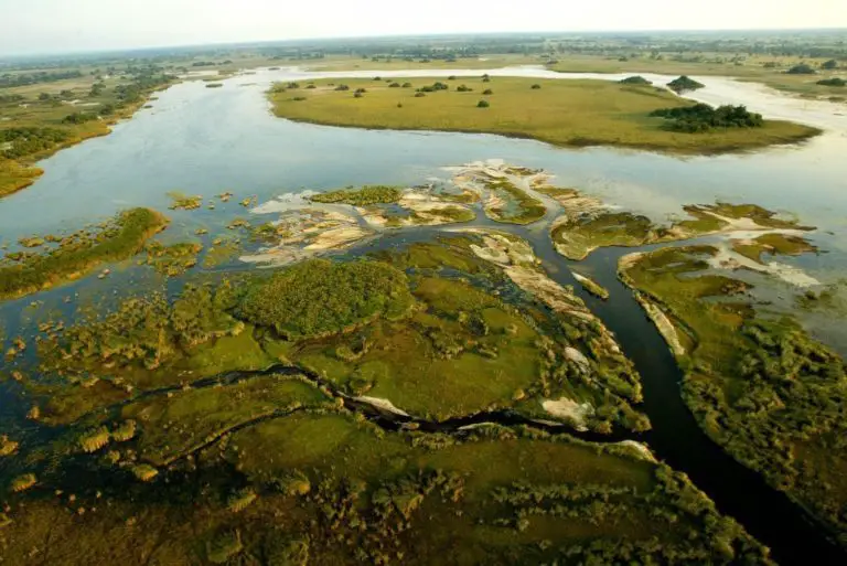 Río Okavango: mapa, delta, y todo lo que desconoce