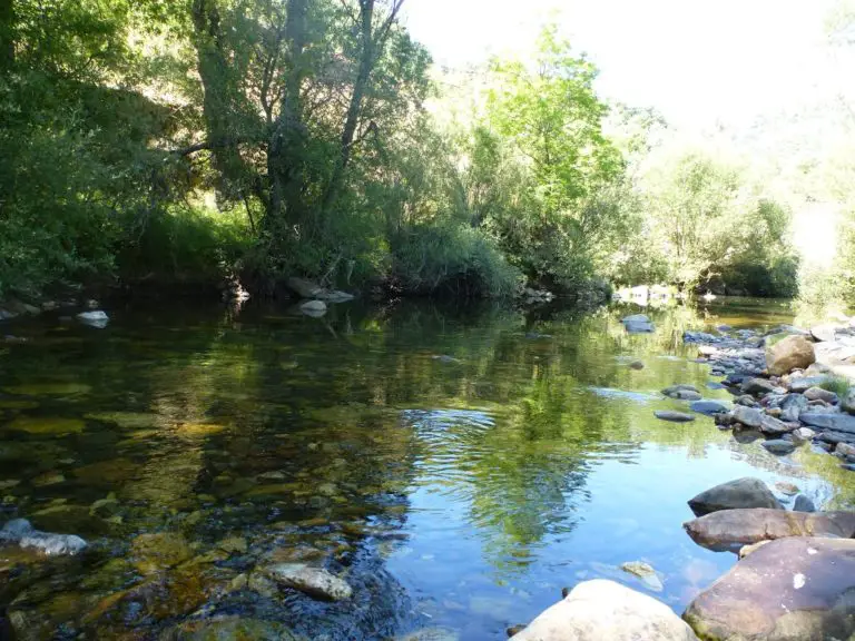 Río Torío: todo lo que necesita conocer sobre él y más